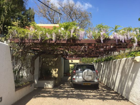 5 Desain Kanopi Teras untuk Rumah Minimalis, Cek Rekomendasinya!