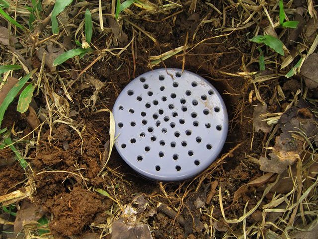 Cara Membuat Lubang Resapan Biopori Di Halaman Rumah